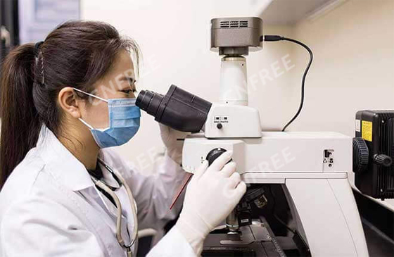 CIP gold extraction process